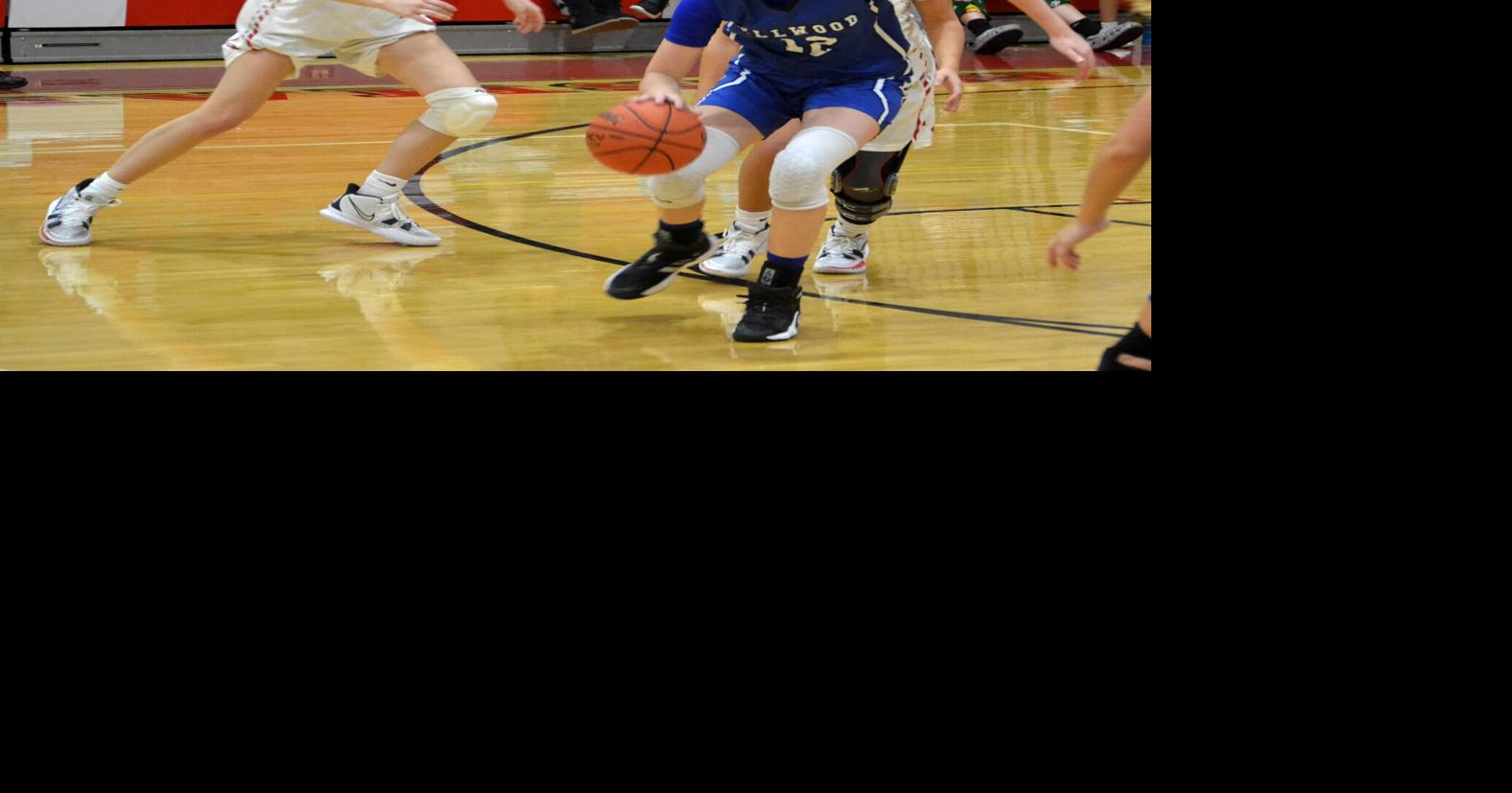 Lady Wolverines looking for playoff berth | Sports | ncnewsonline.com