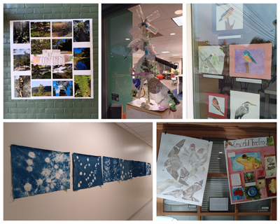 Environmental art exhibition returns, bringing student work to 16 local ...