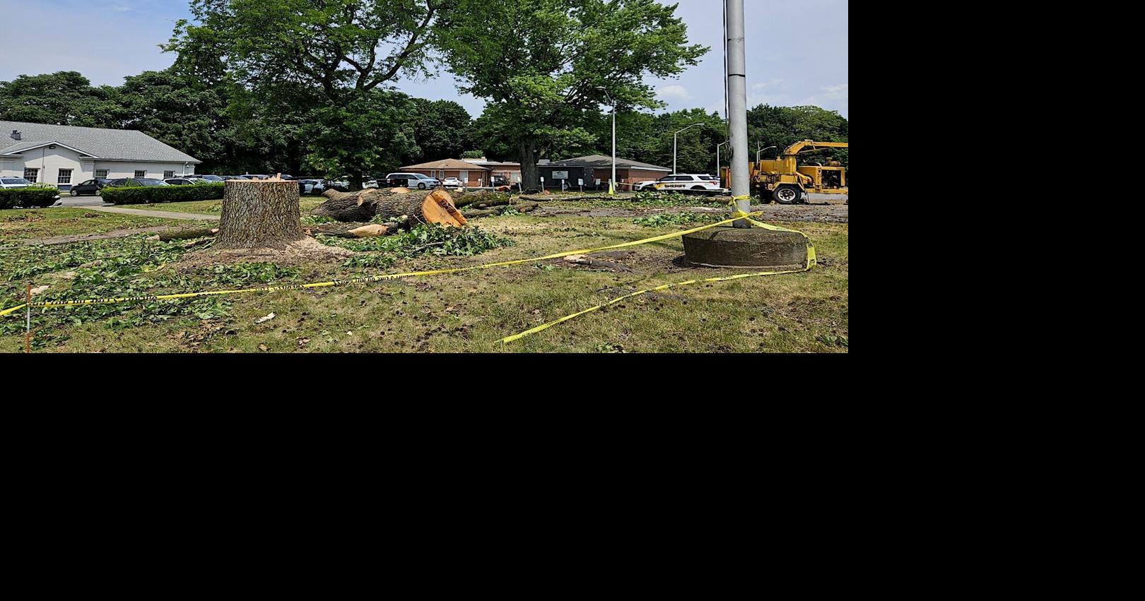 County removes two 'nuisance' trees | Local News | ncnewsonline.com