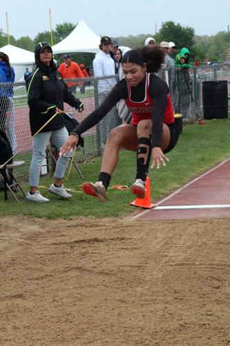 Owens wins WPIAL long jump again | Local Sports | ncnewsonline.com