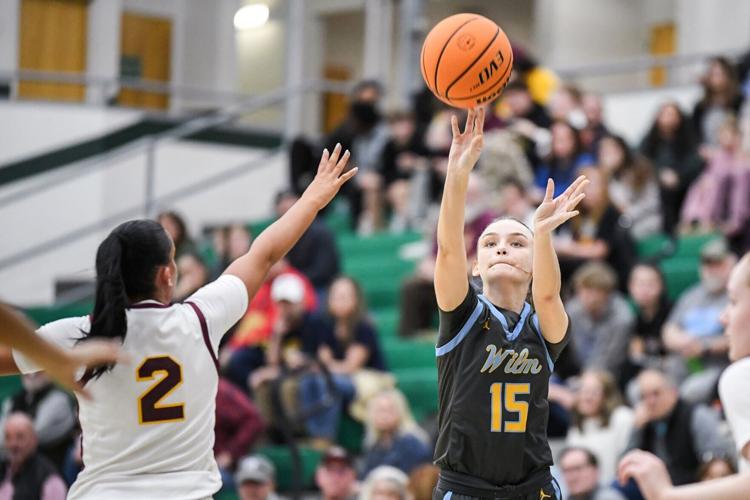 Neshannock, Union and Wilmington girls ready for PIAA playoffs | Sports ...