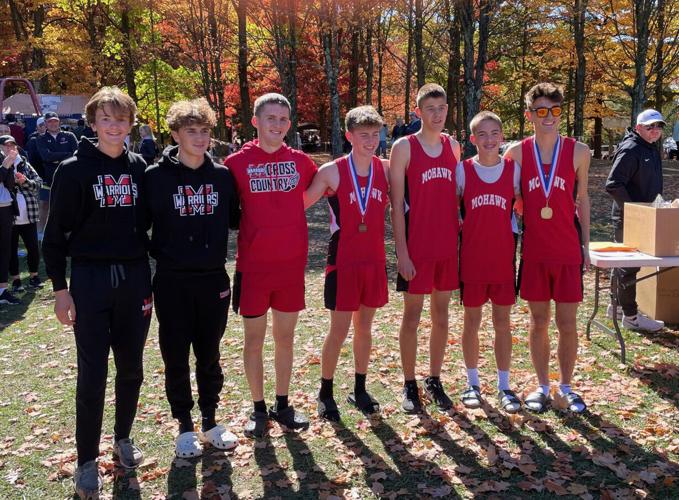 Lawrence County runners ready for PIAA championships | Sports ...