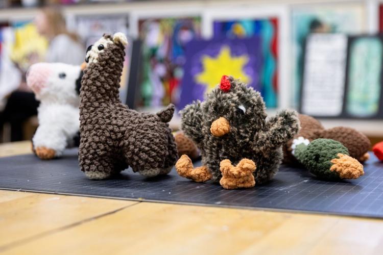 Hickory student's crocheted artwork to be displayed at New Castle ...