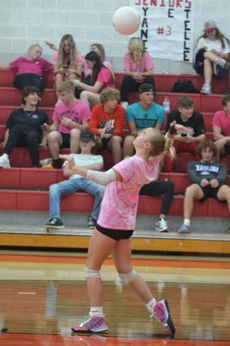 Shenango volleyball holds on for section win over Mohawk | Sports ...
