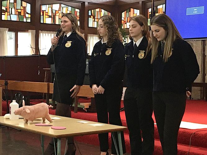 FFA teams present their farm show projects | Local News | ncnewsonline.com