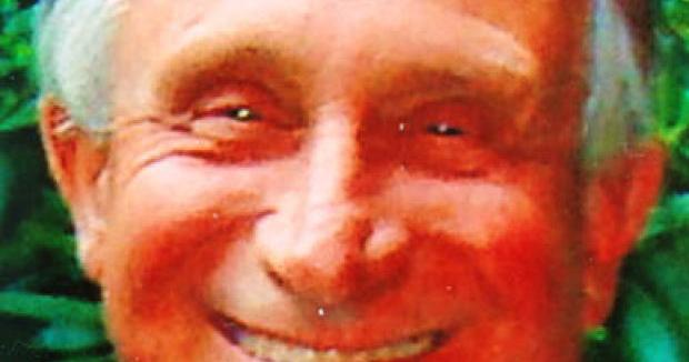 Bruce Waldman: A little bathroom humor from a ‘Money Pit’ | Columns ...