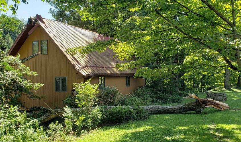 New life carved into stump of 200-year-old oak | Local News ...