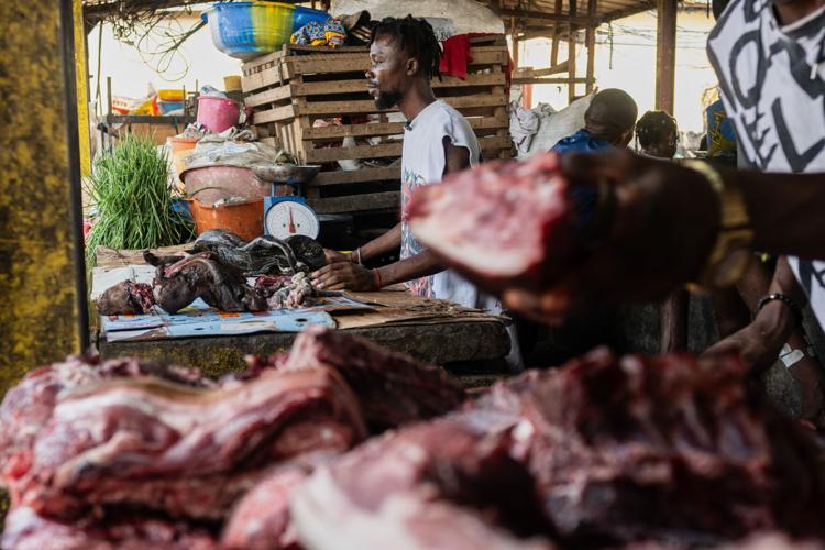 As Ebola scourges Congo, experts warn of link to eating wild animals ...