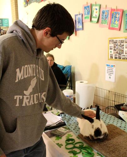 Spring market opens in former Towne Mall | Local News | ncnewsonline.com