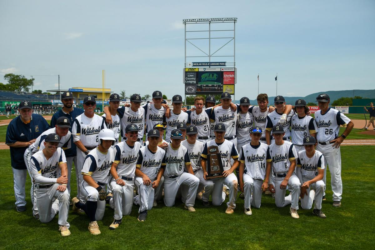 Shenango baseball team falls short against Schuylkill Haven | Local ...