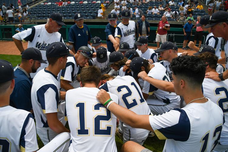 Shenango baseball team falls short against Schuylkill Haven | Local ...