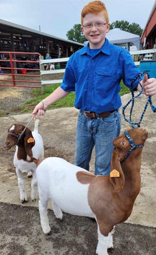 Record number 171 goats at Lawrence County Fair | Local News ...