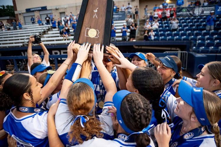 Column by Cody W. Pattison: The double play for PIAA gold | Sports ...