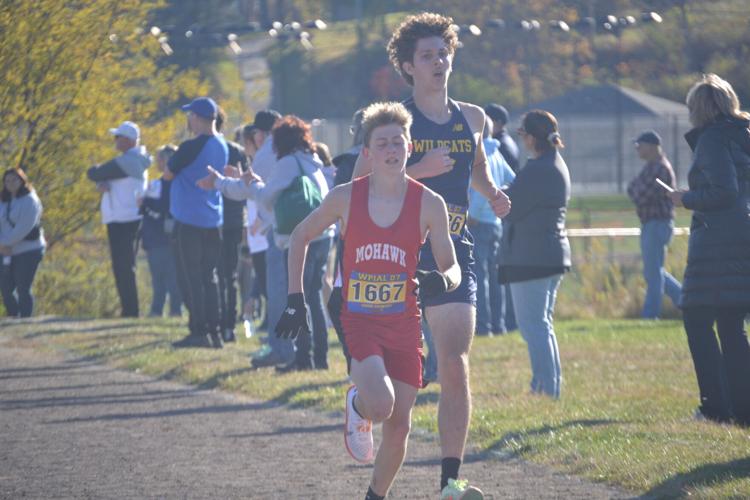 Lawrence County runners place at WPIAL championships | Sports ...