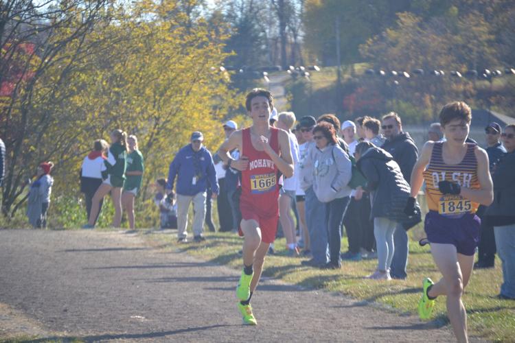 Lawrence County runners place at WPIAL championships | Sports ...