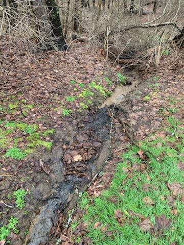 Dutch Ridge Road residents want long-standing sewage issue resolved ...