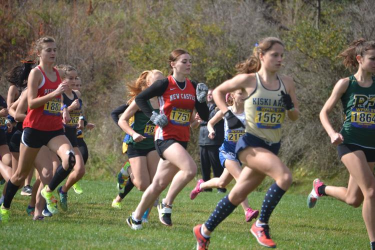 Lawrence County runners place at WPIAL championships | Sports ...