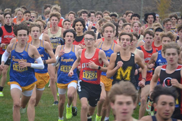 Lawrence County runners place at WPIAL championships | Sports ...