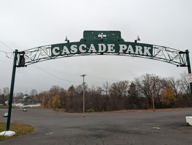 Man urges council action after falling tree injured family | Local News ...