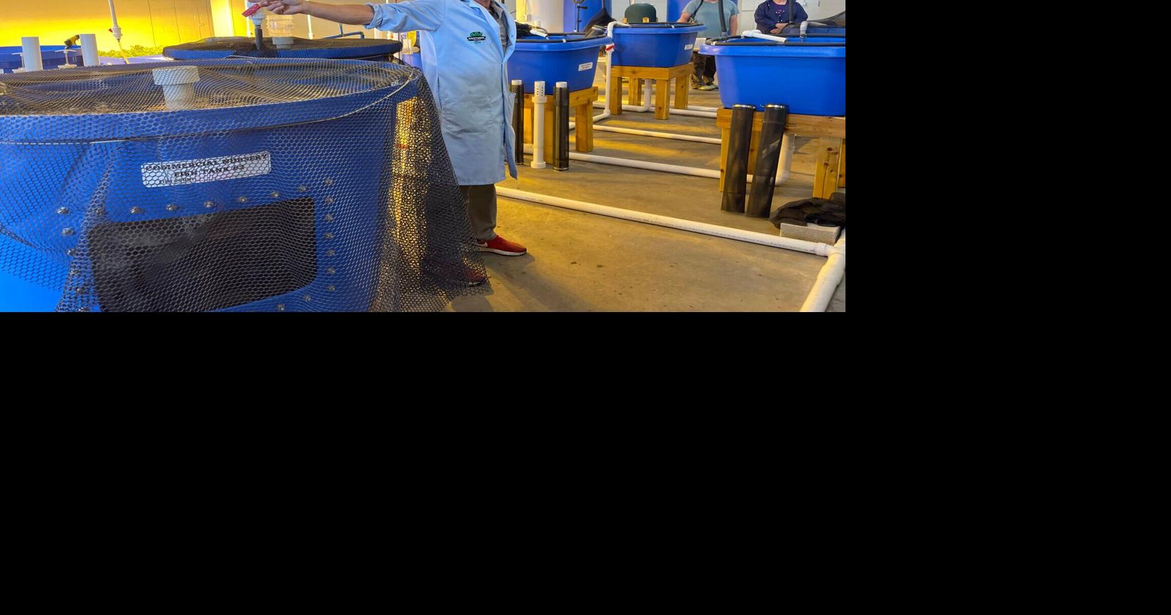 Urban farm inside old Westinghouse plant offers gaze into future ...