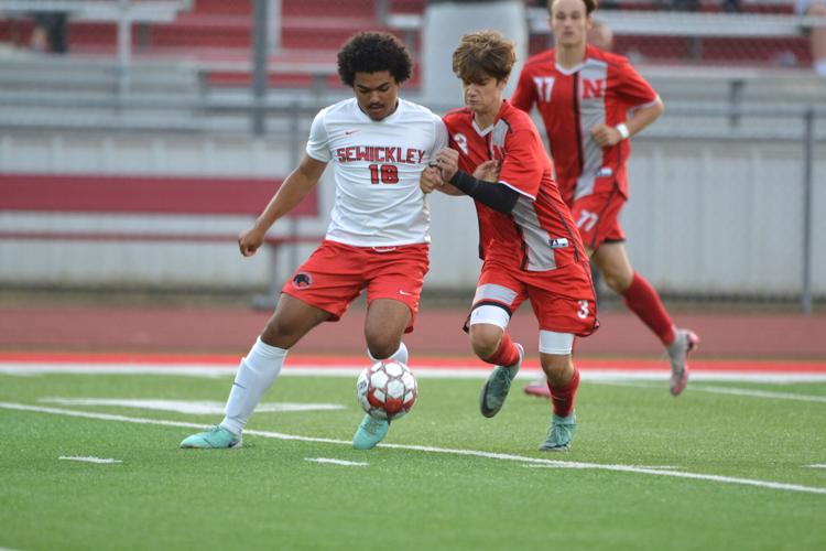 Herb leads Neshannock soccer team to win over Sewickley Academy ...