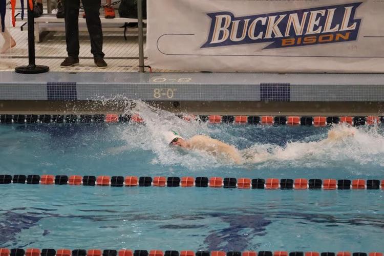 Roth set to make a splash at Ohio State | Local Sports | ncnewsonline.com