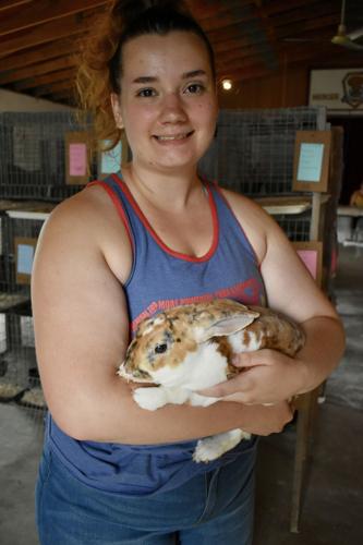 It's funny, but don't judge a bunny by its snuggle | Lifestyles ...