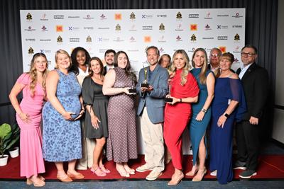 DirectEmployers Association Earns Three Stevie® Awards in Its American ...