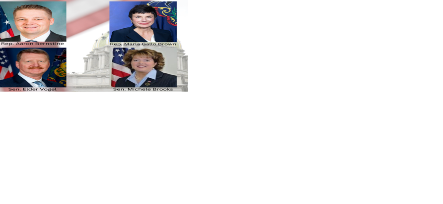 Eye on the Captiol: How Bernstine, Brown voted last week | Local News ...