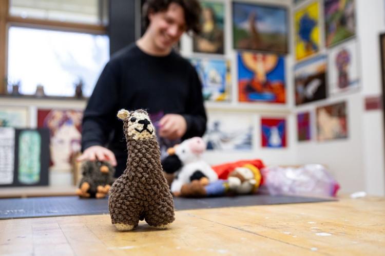 Hickory student's crocheted artwork to be displayed at New Castle ...