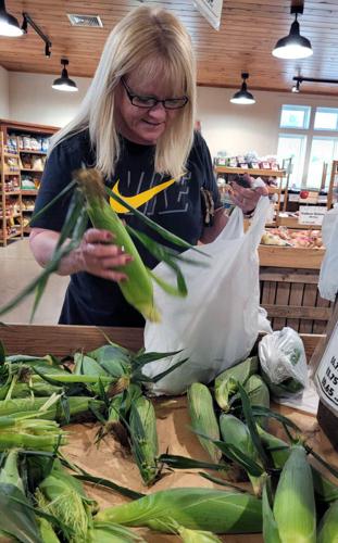 Sweet corn season has arrived | Local News | ncnewsonline.com