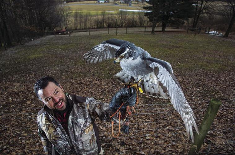 Nesting boxes offer solution for cavity-dwelling raptors | Lifestyles ...