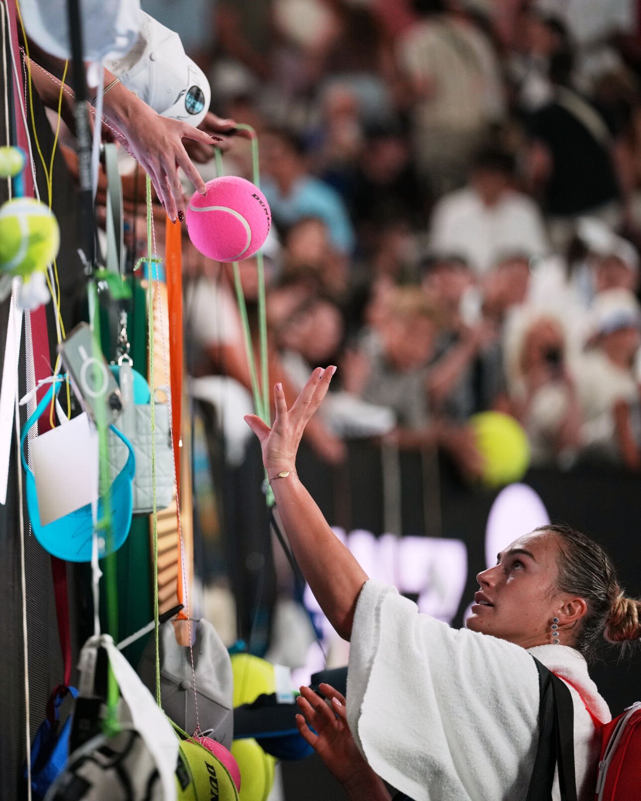 Australian Open Tennis | National Sports | ncnewsonline.com