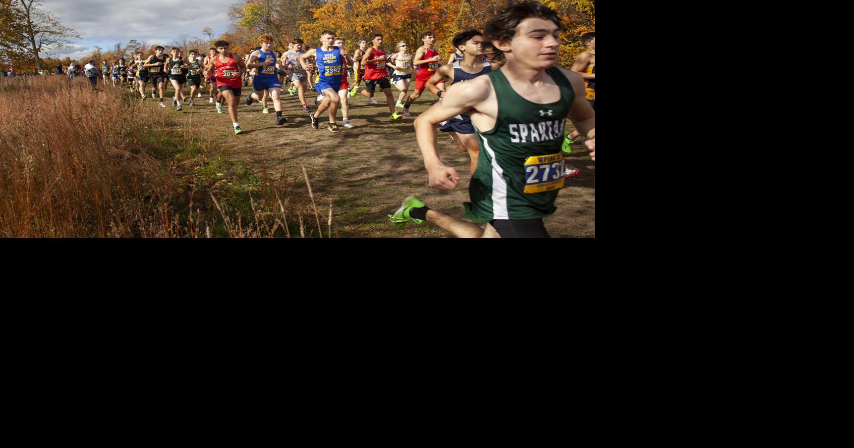 2024 WPIAL cross country championships | Local Sports | ncnewsonline.com