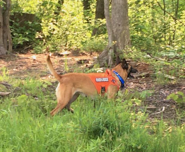 Search with dogs come up short for missing teen | Local News ...