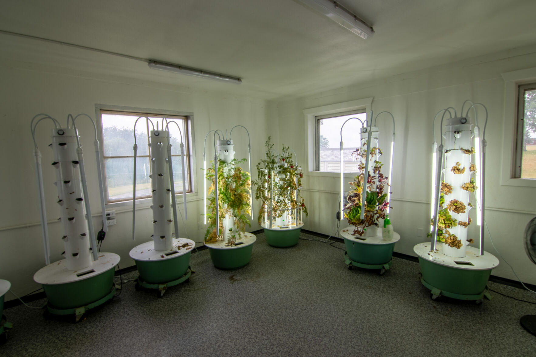 LCCAP opens Exploration and Innovation Station | Lifestyles ...