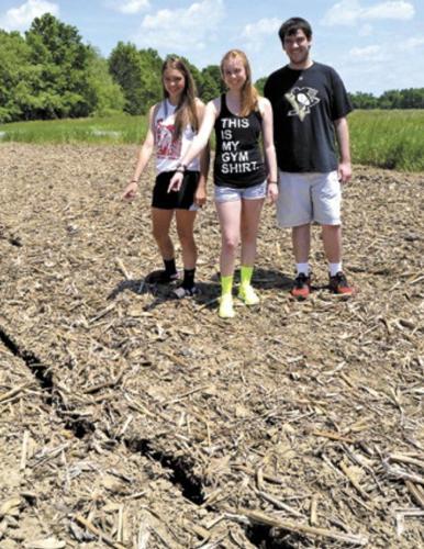 Experts analyzing field subsidence | Opinion | ncnewsonline.com