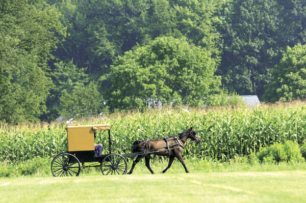 Amish couple will need permission to build barn, keep horses | Local ...
