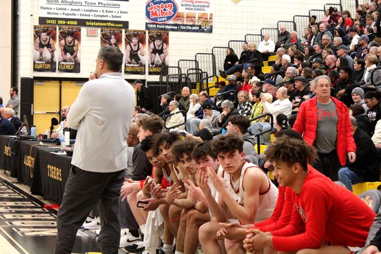 Anderson, Boice lead New Castle to WPIAL championship game | Local ...