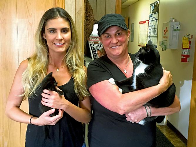 Cause for Paws: Local women answer call to wild, saving feral cat ...