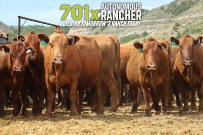 701x Closes Oversubscribed $10M+ Series B, Hits Profitability, and ...