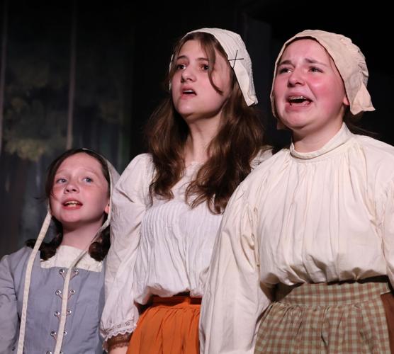 'Crucible' provides a look at human nature | Lifestyles | ncnewsonline.com