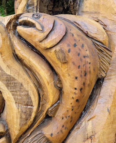 New life carved into stump of 200-year-old oak | Local News ...