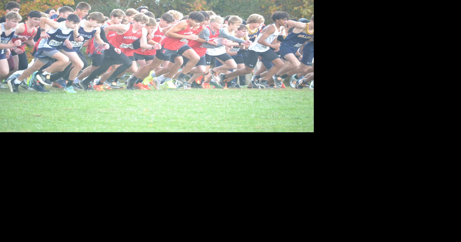 Mohawk, Ellwood City boys cross country teams take bronze | Sports ...