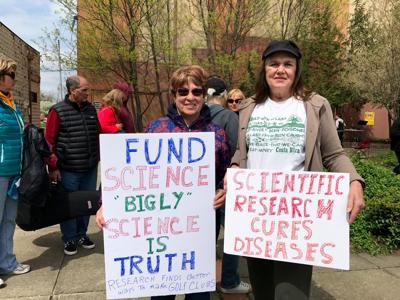 New York Times shines spotlight on local woman | News | ncnewsonline.com