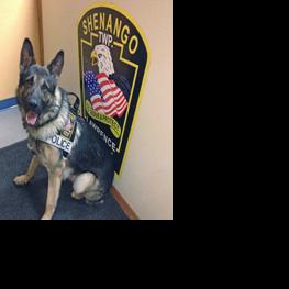 Shenango police canine dies | News | ncnewsonline.com