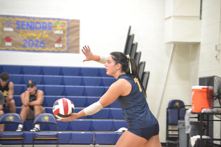 Volleyball - WPIAL Section 4-2A: Laurel at Shenango | Sports ...