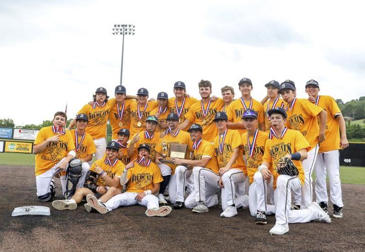 New Castle, Shenango to play in PIAA baseball semis | Local Sports ...