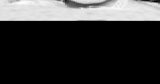 Mary Ann Curry | Archives | ncnewsonline.com