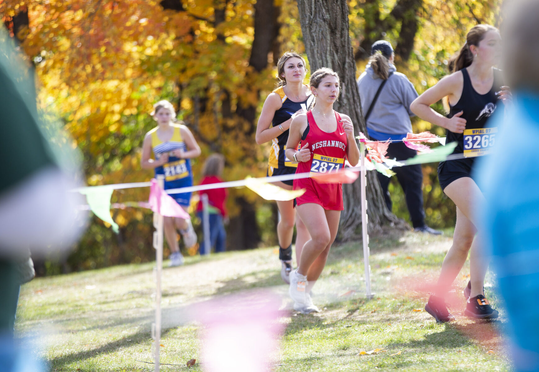 2024 WPIAL cross country championships | Local Sports | ncnewsonline.com